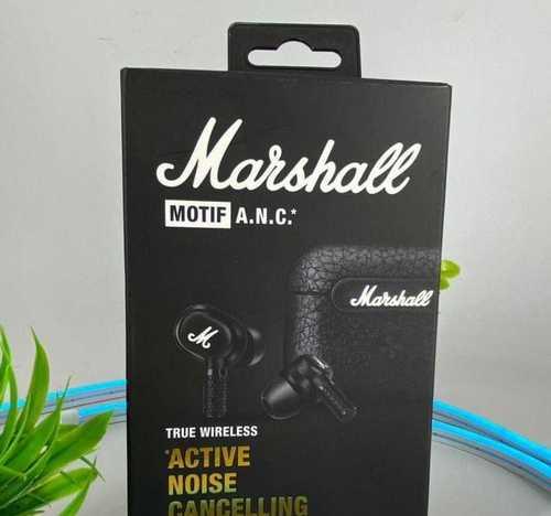 Marshall Motif A.N.C