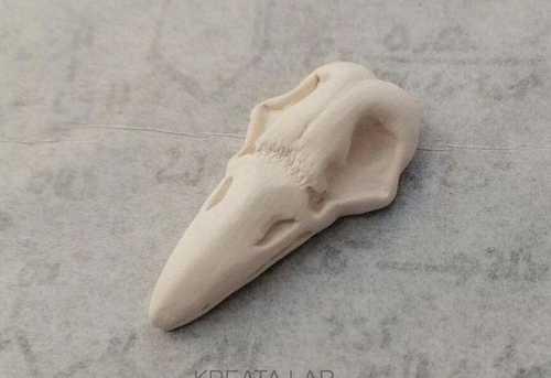 Птичий череп, керамика, заготовка для творчества