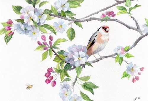 Картина акварель "Щегол на цветущем дереве"