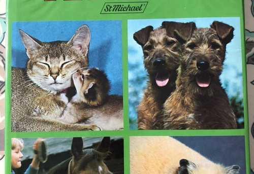 Книга на английском о домашних животных