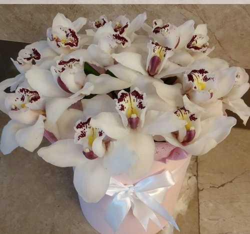 Орхидеи Букет