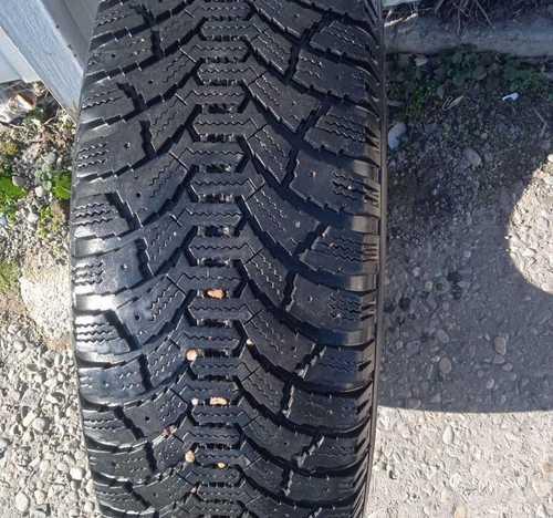 Tunga Nordway 175/70 R13