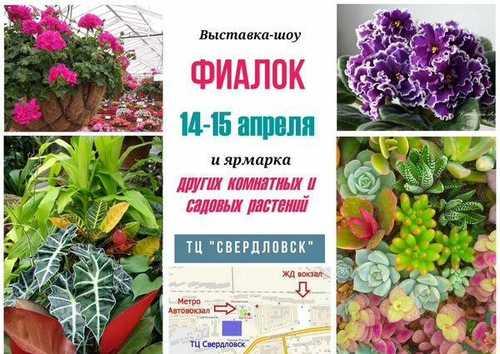 Выставка-ярмарка растений 14-15 апреля Екатеринбрг