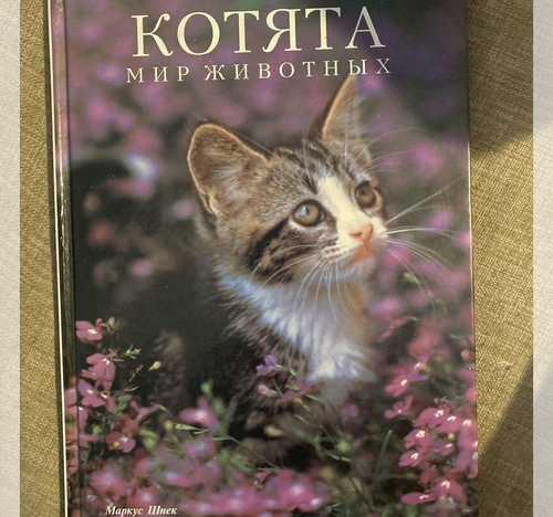 Книга котята альбом для детей