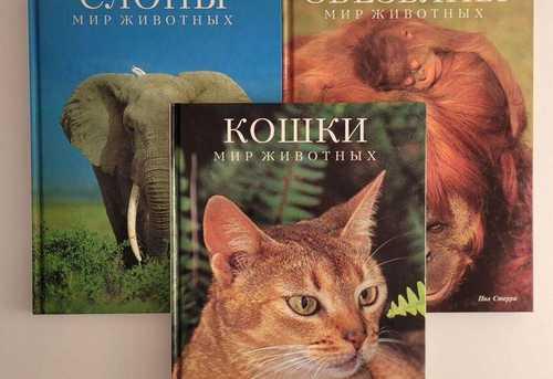 Мир животных Белфакс слоны обезьяны кошки