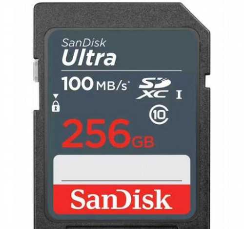 Sandisk 256Gb (sdsdunr-256G-GN3IN)