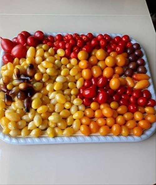 Семена томатов черри