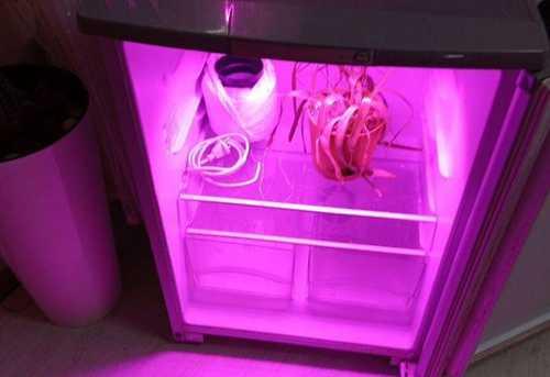 Готовый гроубокс Супер холодильник