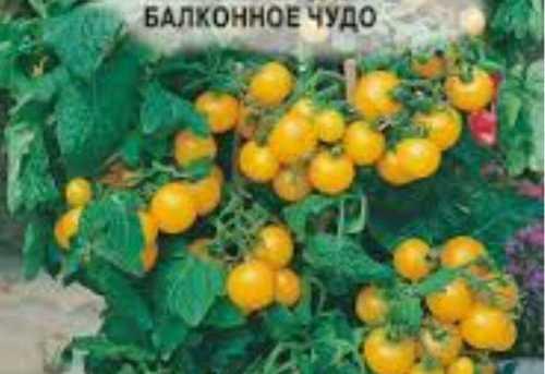 Жёлтые томаты черри Балконное чудо