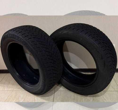 Armstrong Ski-Trac PC 205/55 R16 91H