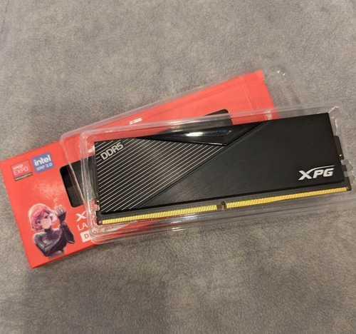 Ddr5 16gb cl36 5600mhz оперативная память XPG