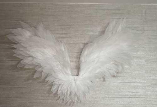 Крылья ангела для фотозоны