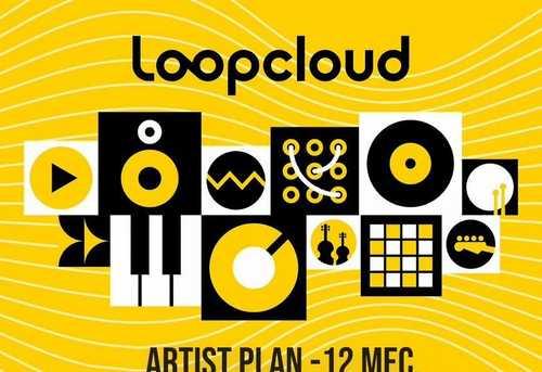 Loopcloud Artist Plan Подписка на 12 мес