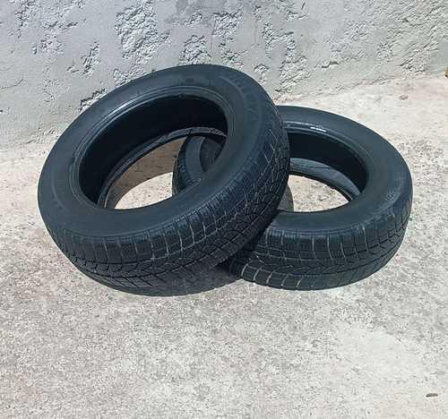 Tigar Winter 1 175/65 R14