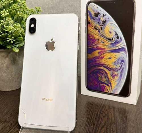 iPhone Xs Max, 512 ГБ