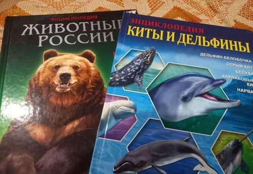 Энциклопедия Животные России, Киты и дельфины