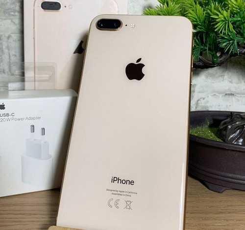 iPhone 8 Plus, 256 ГБ