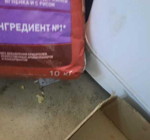 Хобби