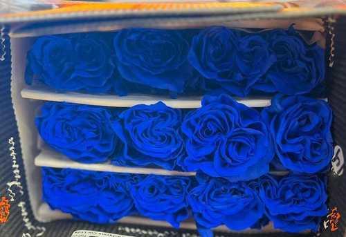 Синие черные розы