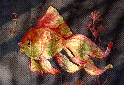 Готовая вышивка "Золотая рыбка"