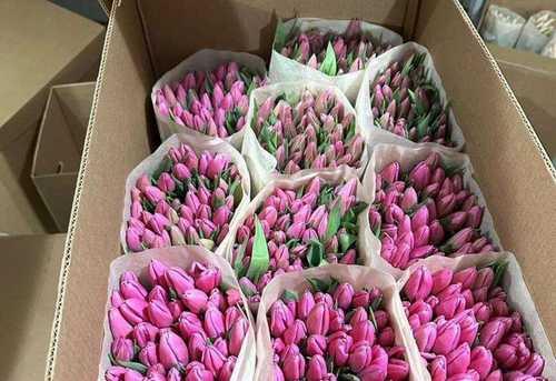 Свежие тюльпаны оптом с доставкой