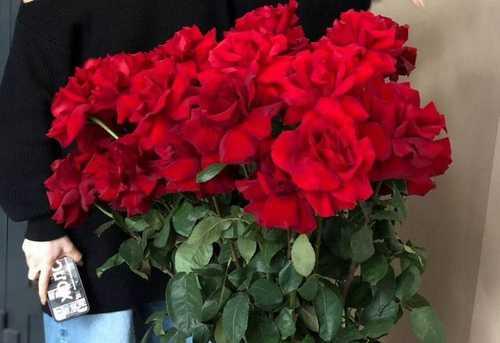 Розы гиганты,букет цветов,ажурные розы,доставка