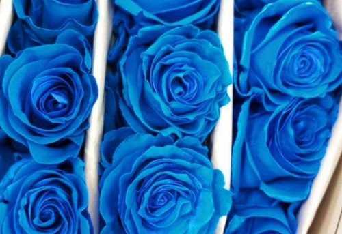 Синие Розы с доставкой