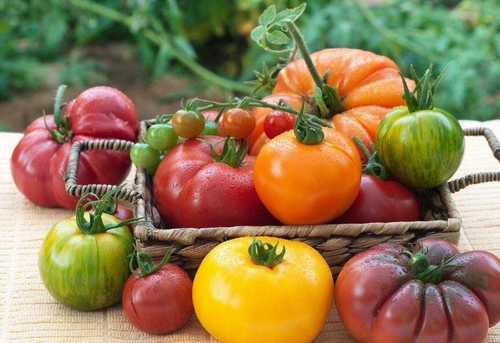 Семена томатов более 260 сортов