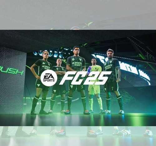 FIFA 25/FC 25 steam pc