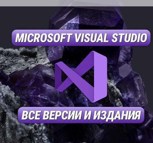 Microsoft Visual Studio Официальное издание