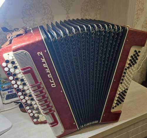 Баян детский огонек 2