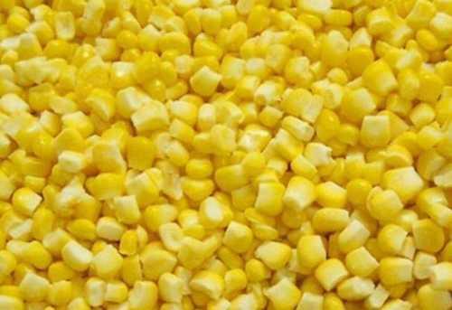 Кукуруза семена дкс 3730