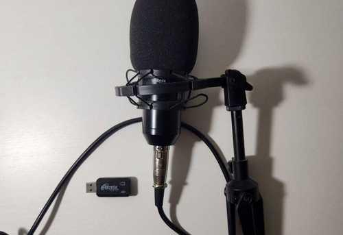 Микрофон Ritmix RDM-160 черный