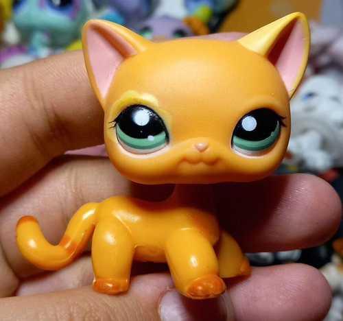 Littlest pet shop европейка 1643