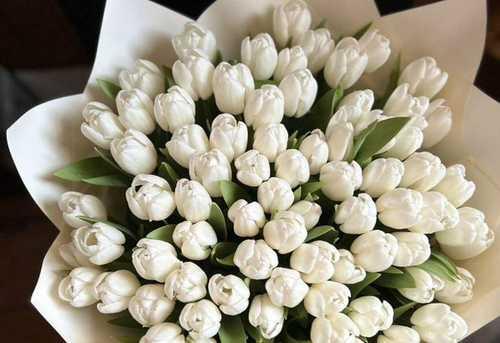 81 тюльпан белые тюльпаны цветы