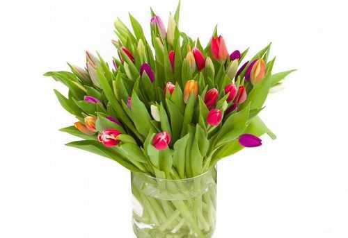 Тюльпаны микс для букетов к 8 марта оптом