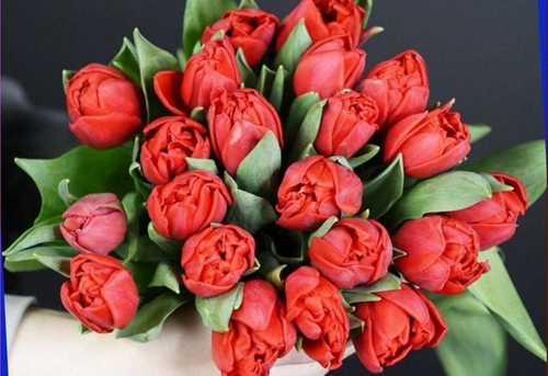 Потрясающие тюльпаны для любимых дам