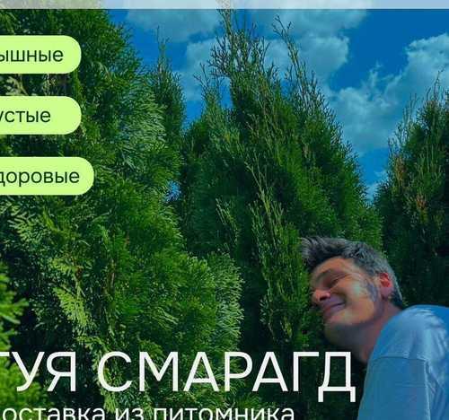 Туи, Туя Смарагд