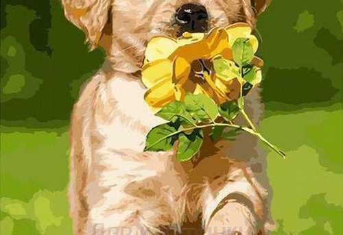 Картина по номерам 40x50 Милый щенок с желтой розо