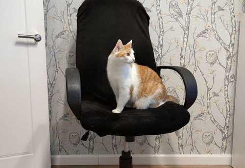 Компьютерный стул кресло