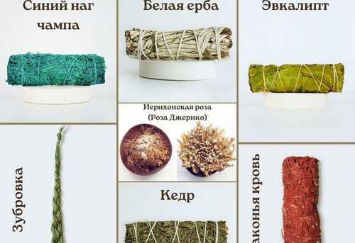Шалфей Белый от 20шт опт для маркетплейса