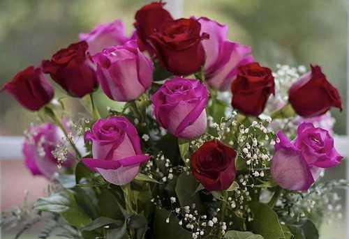 Цветы розы с доставкой 101 51 501