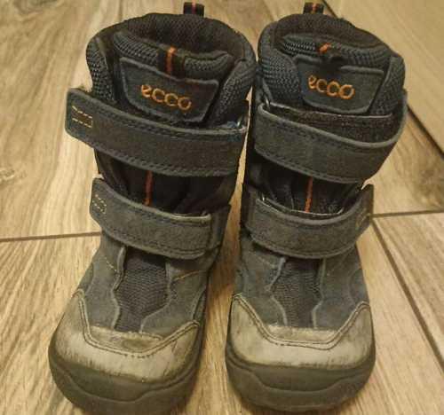 Сапоги зимние ecco 25-26