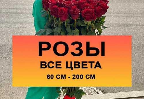101 Роза Москва Доставка Цветов