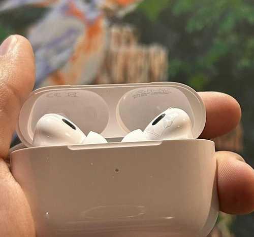 Air Pods Pro 2