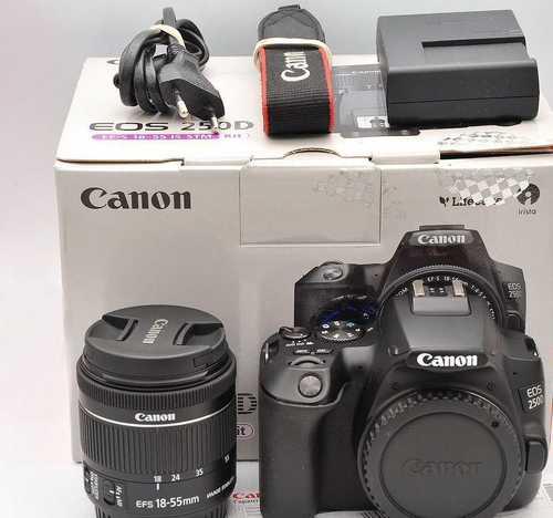 Canon 250D kit STM