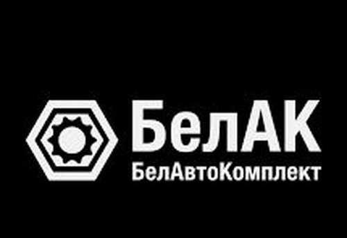 БЕЛАВТОКОМПЛЕКТ бак.07013 Набор инструмента