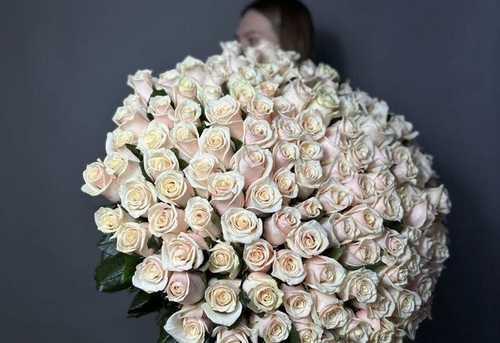 Белые розы 101 60см