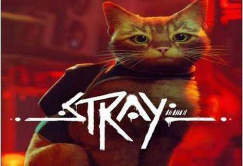 Stray на Xbox series S/X, one S/X