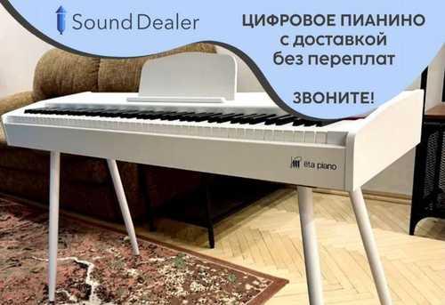 Цифровое фортепиано, пианино Eta Piano DBR-10